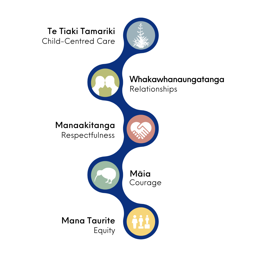 PSNZ introduces core values to guide our future | The Paediatric ...